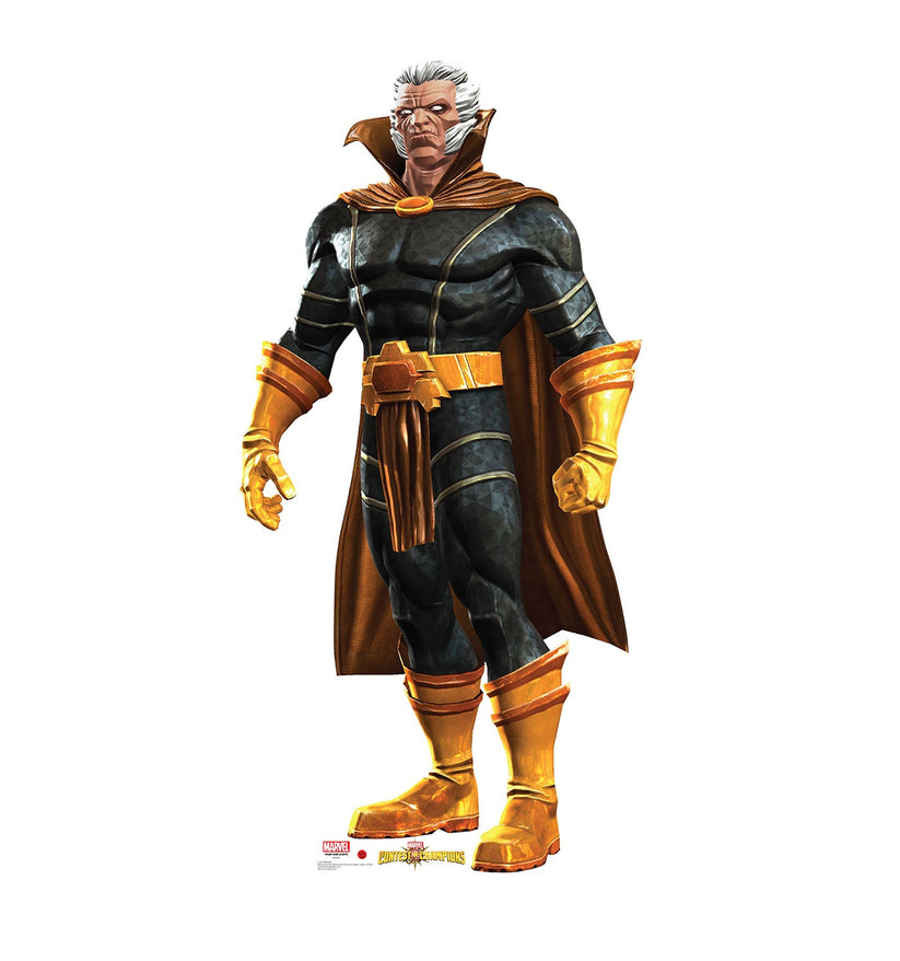 Collector (Marvel CoC) Cardboard Cutout Free Shipping – Life Size ...