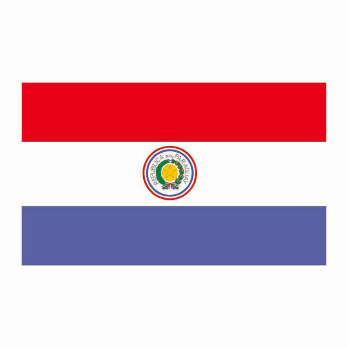Paraguay Flag Cardboard Cutout Free Shipping – Life Size Custom Cutouts