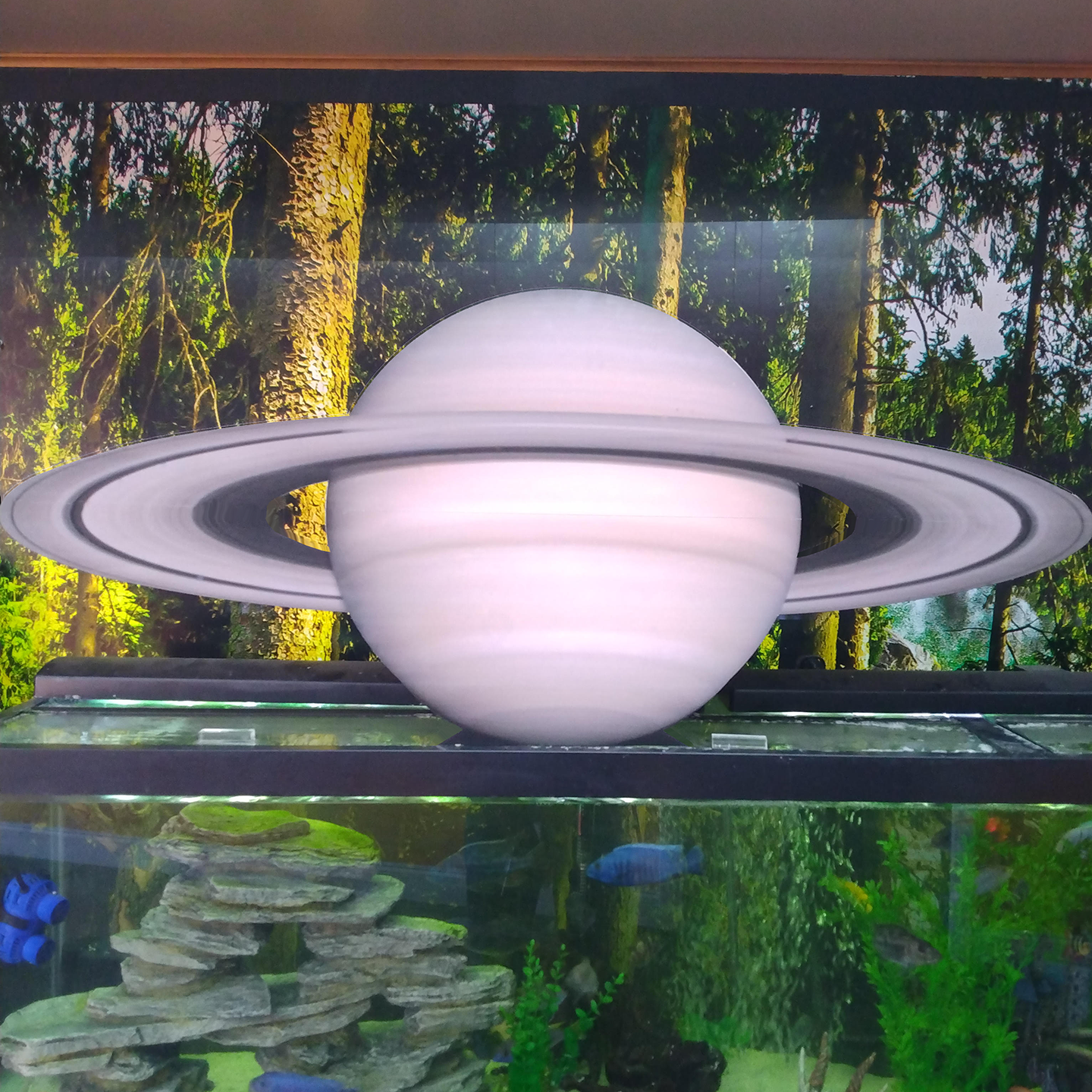 NASA Solar System Saturn Cardboard Cutout Free Shipping – Life Size ...