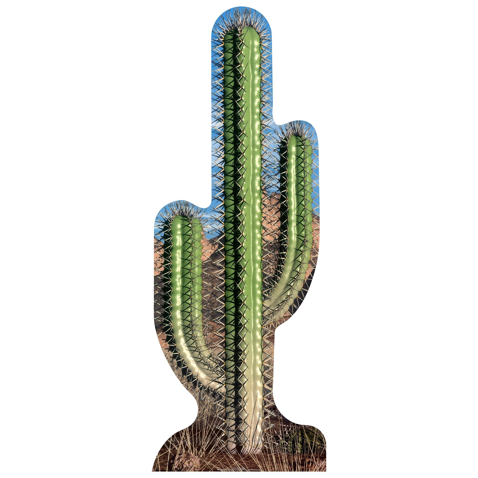 Cactus Cardboard Cutout Free Shipping – Life Size Custom Cutouts