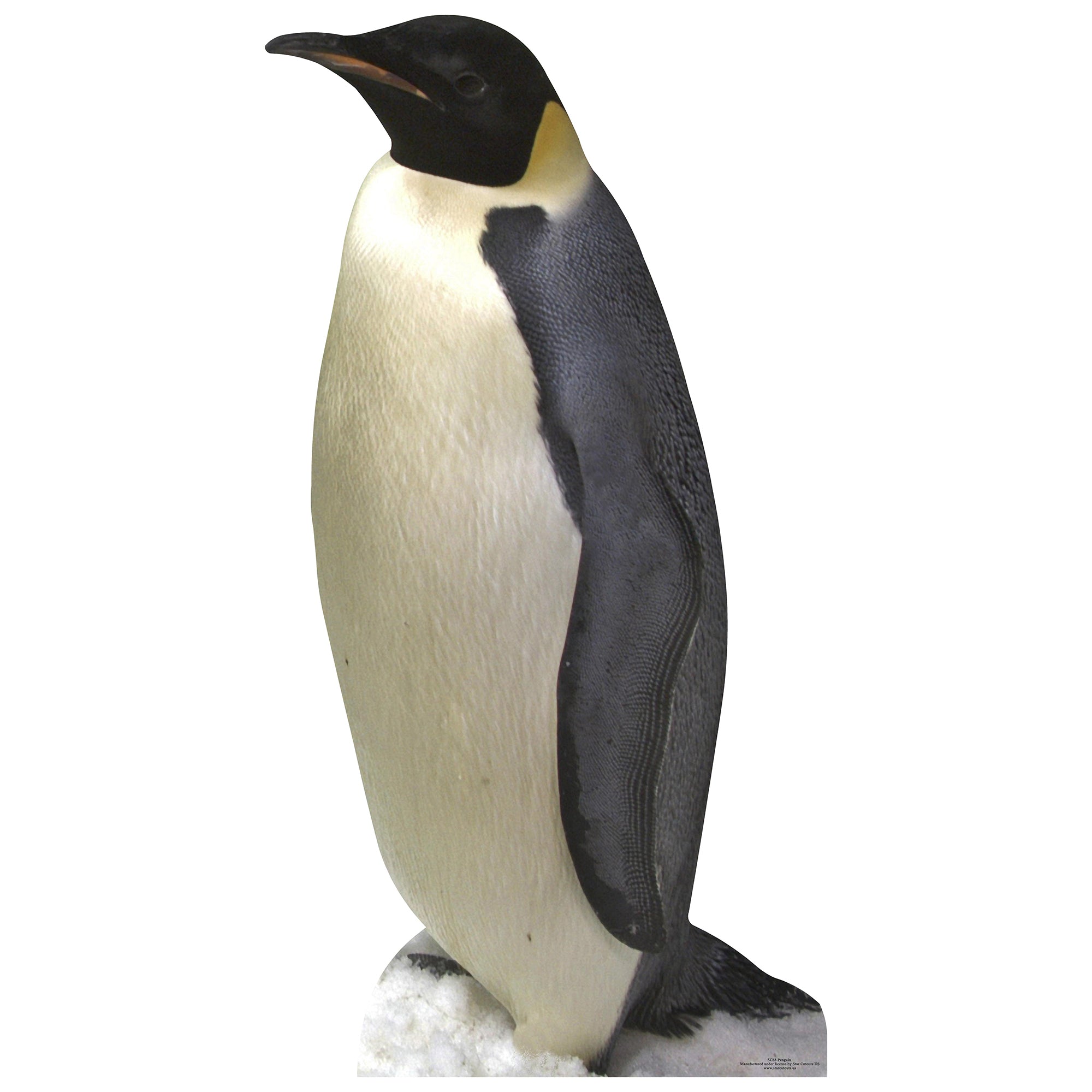 Penguin Cardboard Cutout Free Shipping – Life Size Custom Cutouts