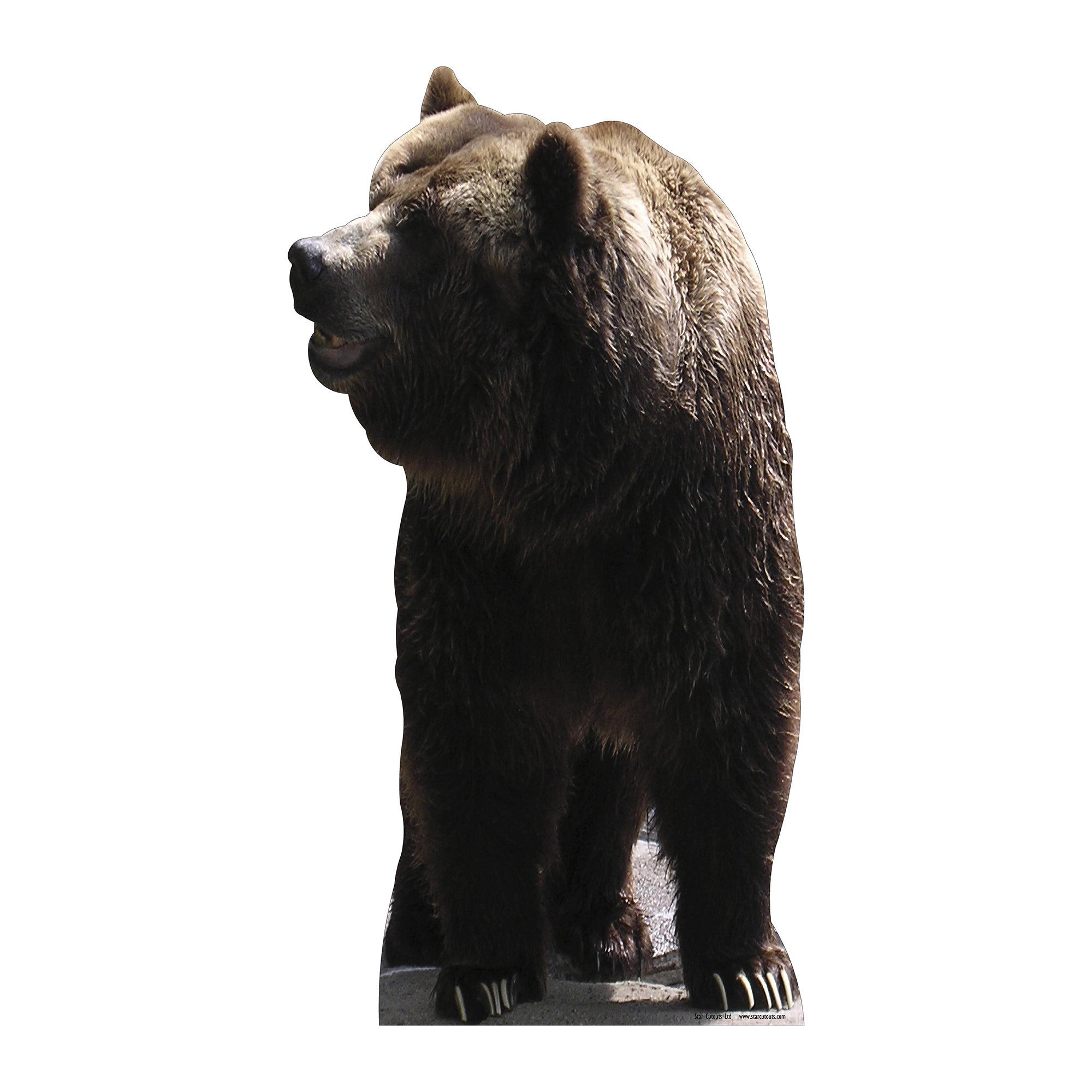 Bear Cardboard Cutout Free Shipping – Life Size Custom Cutouts