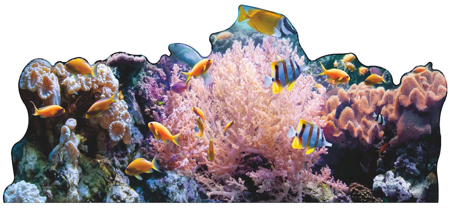 Coral Reef Ocean Floor Backdrop Cutout Free Shipping – Life Size Custom ...