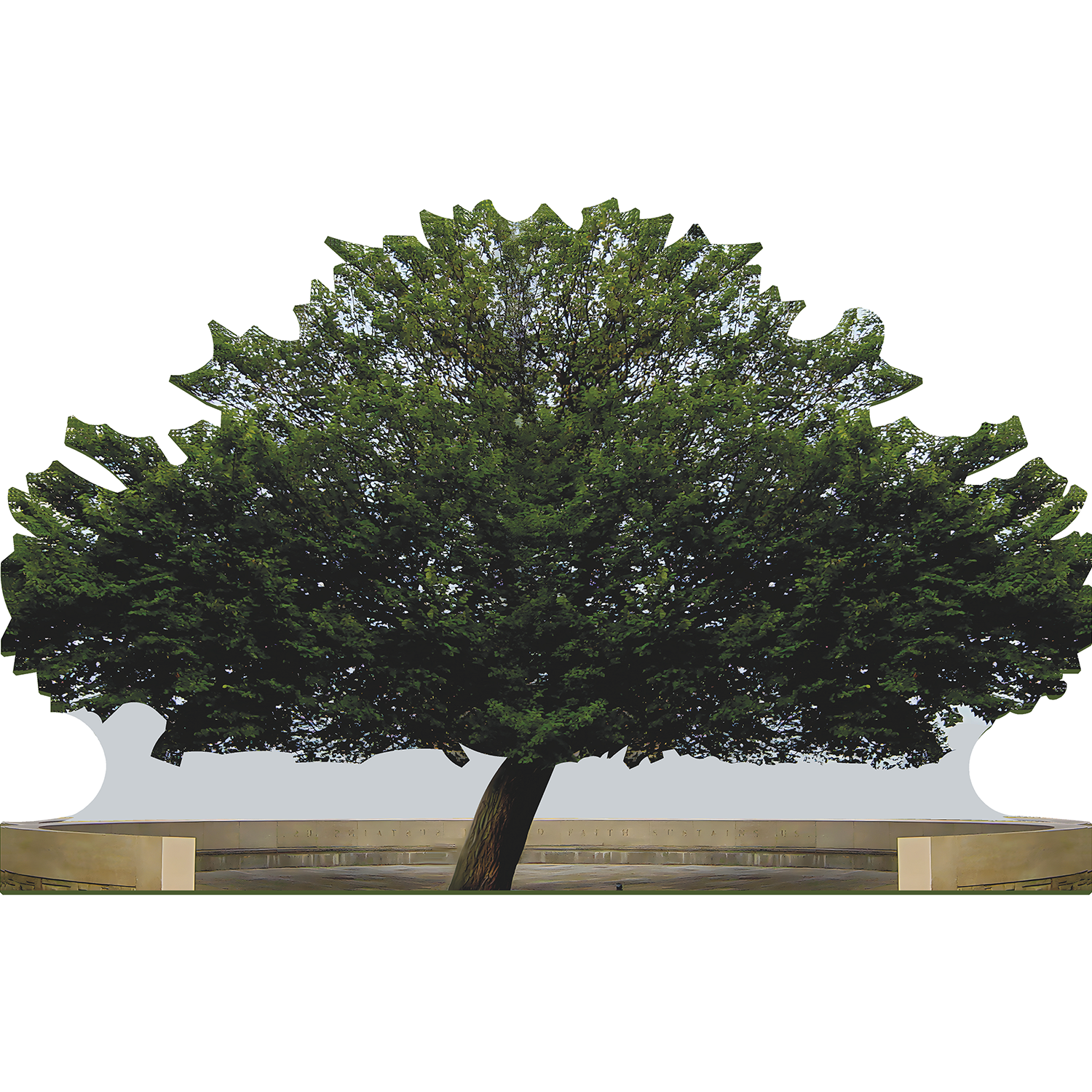 Survivor Tree Callery Pear 911 Symbol Resilience Cardboard Cutout ...