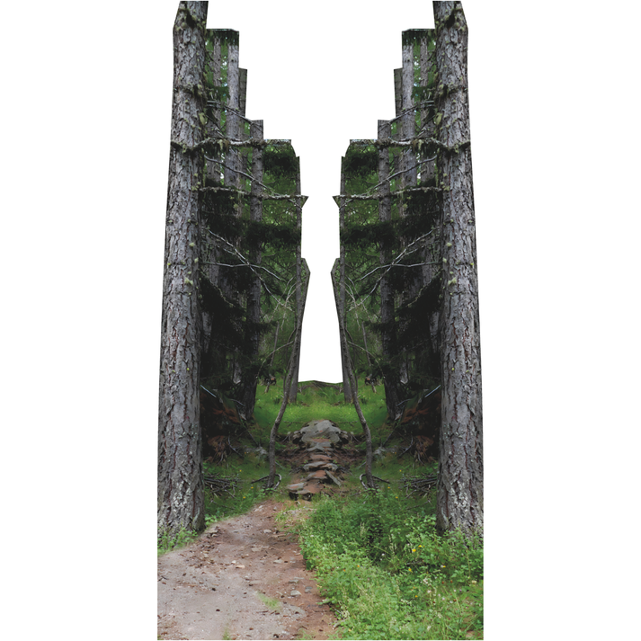 Forest Trail Trees Nature Hike Backdrop Cardboard Cutout – Life Size ...